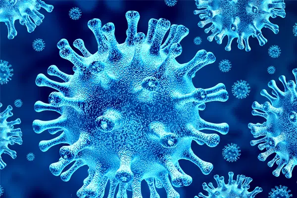 Nonacus - Massive Bioinformatics