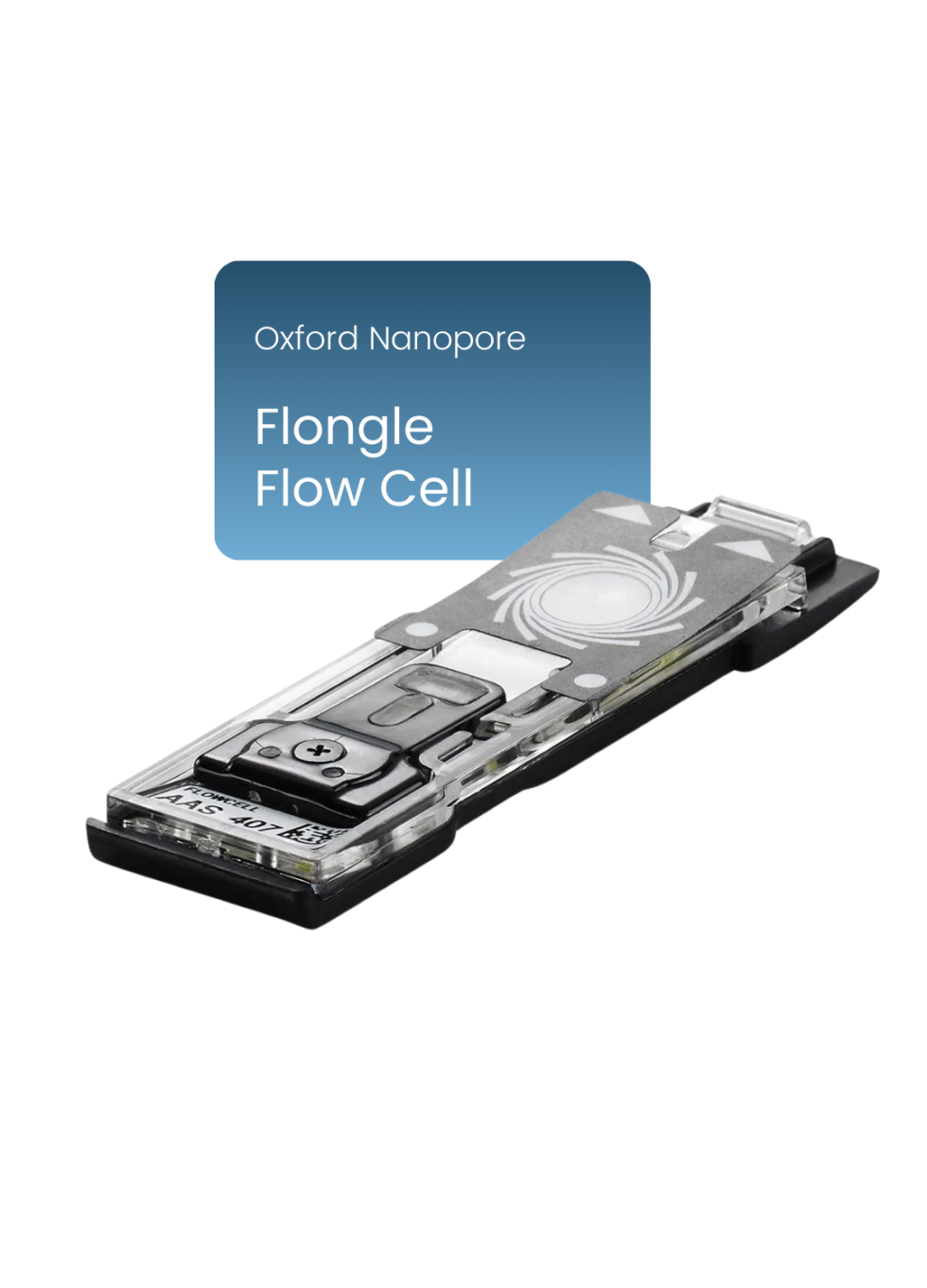 Flow Cells l Massive Bioinformatics