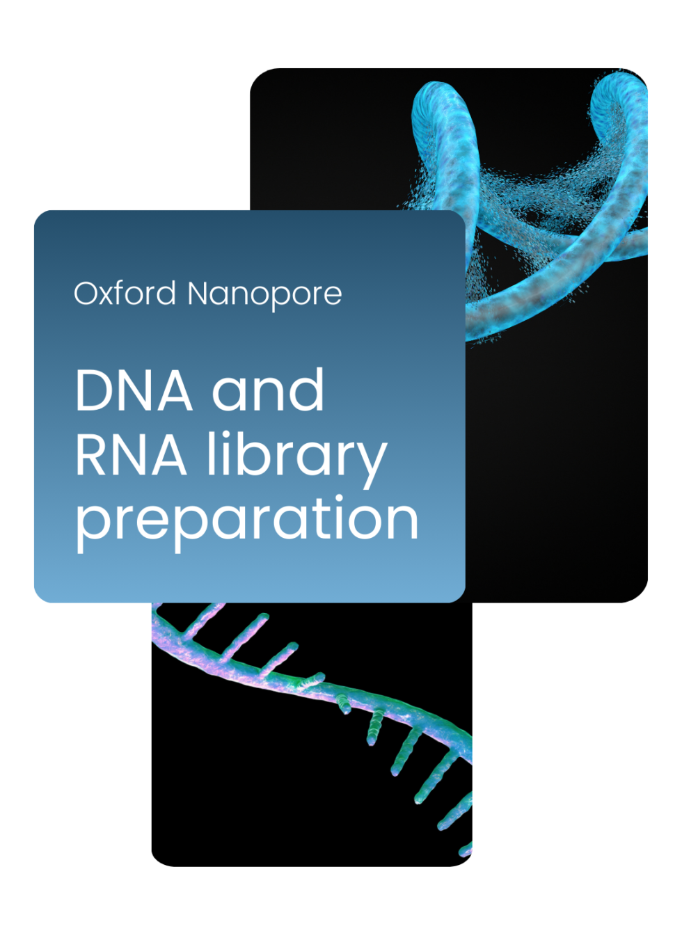 Library Preparation l Massive Bioinformatics